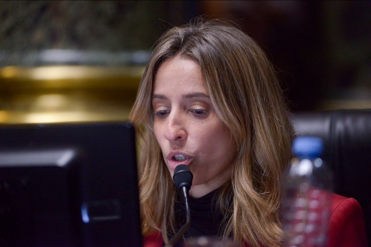 Kienast, le legisladora porteña que abandonó a López Murphy para ...